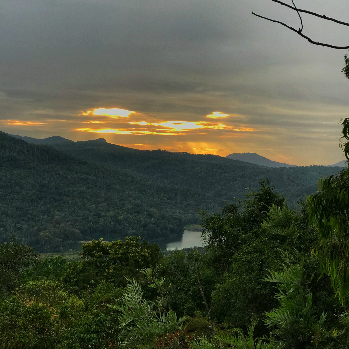 Java Rain, Chikmagalur : Gorgeous property in coffee land - Sinamon Tales